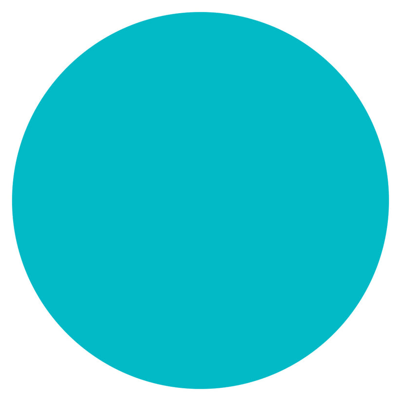 Color Circle Classroom Floor Decal